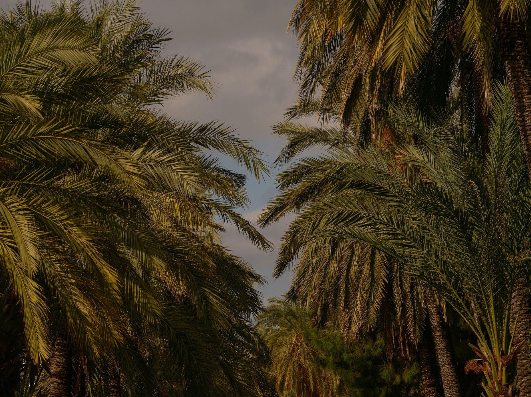 MEPHISTO SIZE CHART – FeetFirstFootwear